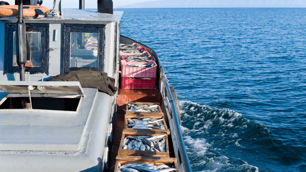 ETF: European Transport Workers' Federation | The fishing sector joins ...