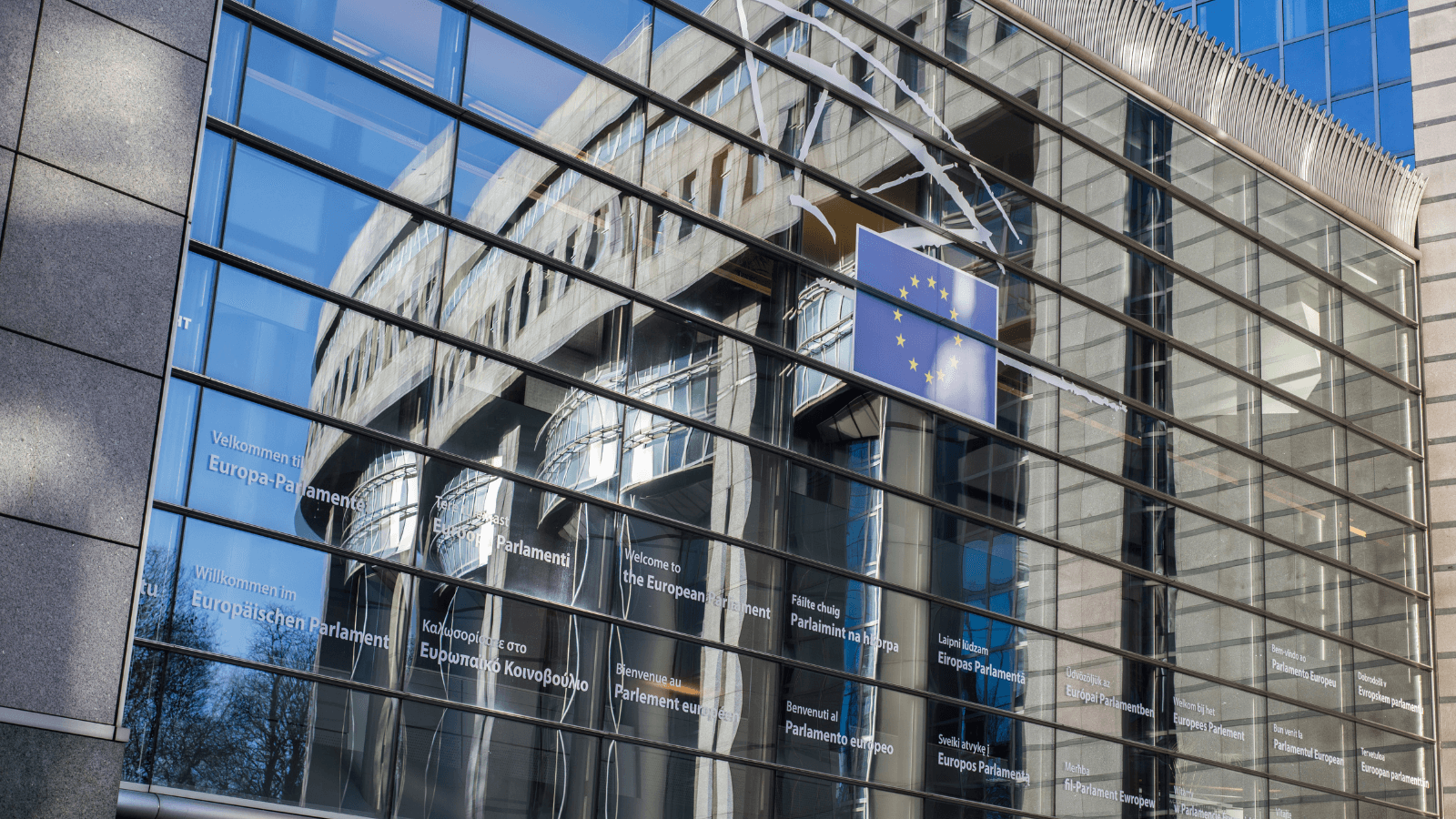 ETF: European Transport Workers' Federation | Joint Statement: Urgent ...