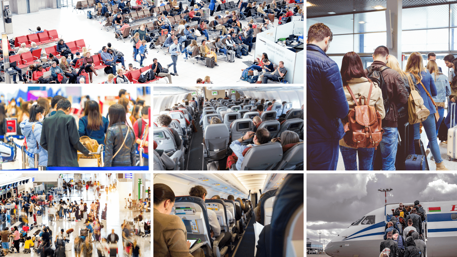 ETF: European Transport Workers' Federation | All unions, employers and ...